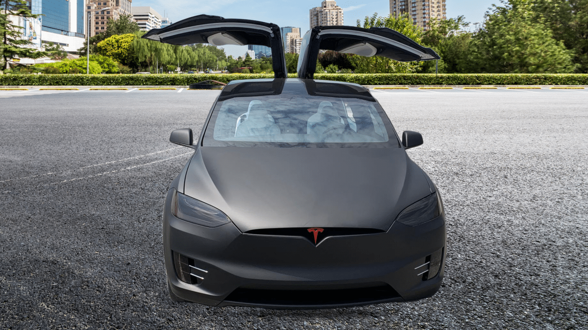 Tesla - Tampa Auto Wraps